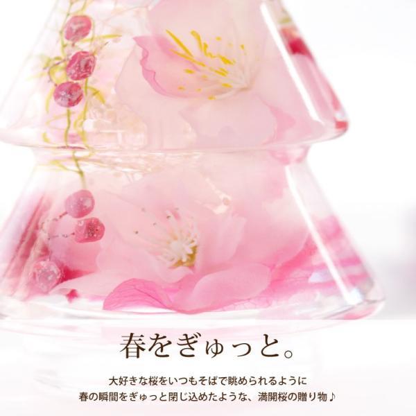 結婚祝い 花プレゼント ギフト シーズンツリー ハーバリウム 桜 ひまわり ブルースター 誕生日 おしゃれ 退職祝い 女性 母 40代 50代 60代 : FLEGRE 1号店 - 通販 ...