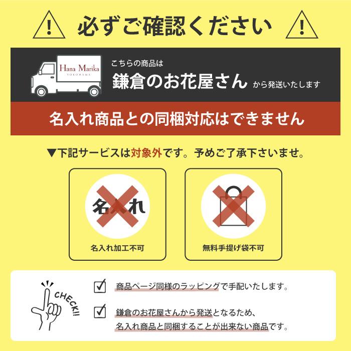 ペット お悔やみ 花 お供え 虹の橋 フォトフレーム エトワール 写真立て プリザーブドフラワー 仏花 お花 ギフト 猫 犬 命日 供花 枕花 一周忌 贈り物 : FLEGRE 1号店 ...