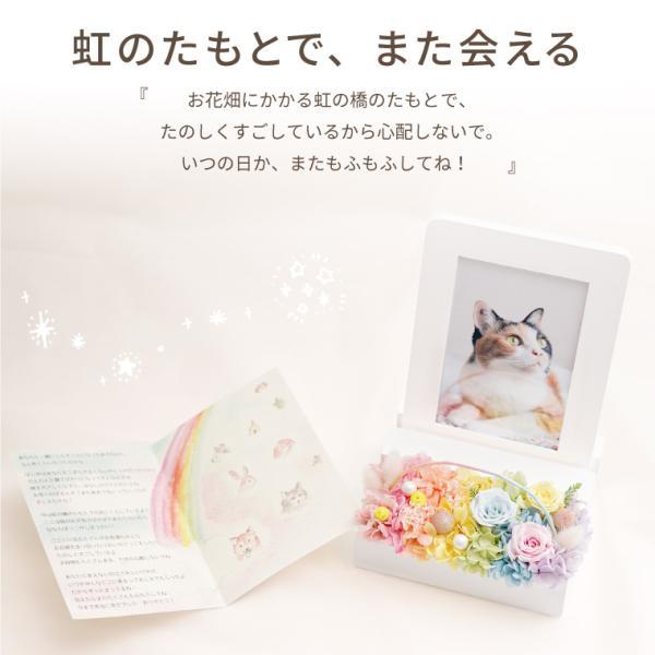 ペット お悔やみ 花 お供え 虹の橋 フォトフレーム エトワール 写真立て プリザーブドフラワー 仏花 お花 ギフト 猫 犬 命日 供花 枕花 一周忌 贈り物 : FLEGRE 1号店 ...
