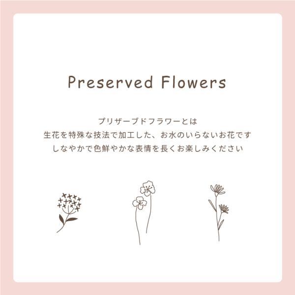 ペット お悔やみ 花 お供え 虹の橋 フォトフレーム エトワール 写真立て プリザーブドフラワー 仏花 お花 ギフト 猫 犬 命日 供花 枕花 一周忌 贈り物 : FLEGRE 1号店 ...