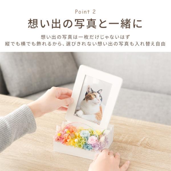 ペット お悔やみ 花 お供え 虹の橋 フォトフレーム エトワール 写真立て プリザーブドフラワー 仏花 お花 ギフト 猫 犬 命日 供花 枕花 一周忌 贈り物 : FLEGRE 1号店 ...