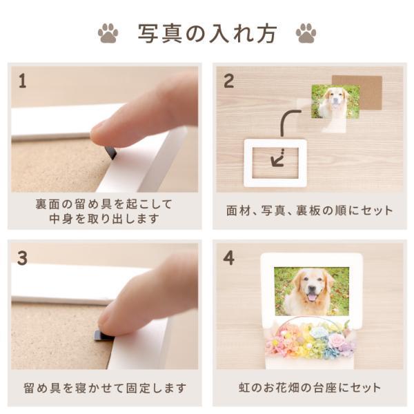 ペット お悔やみ 花 お供え 虹の橋 フォトフレーム エトワール 写真立て プリザーブドフラワー 仏花 お花 ギフト 猫 犬 命日 供花 枕花 一周忌 贈り物 : FLEGRE 1号店 ...