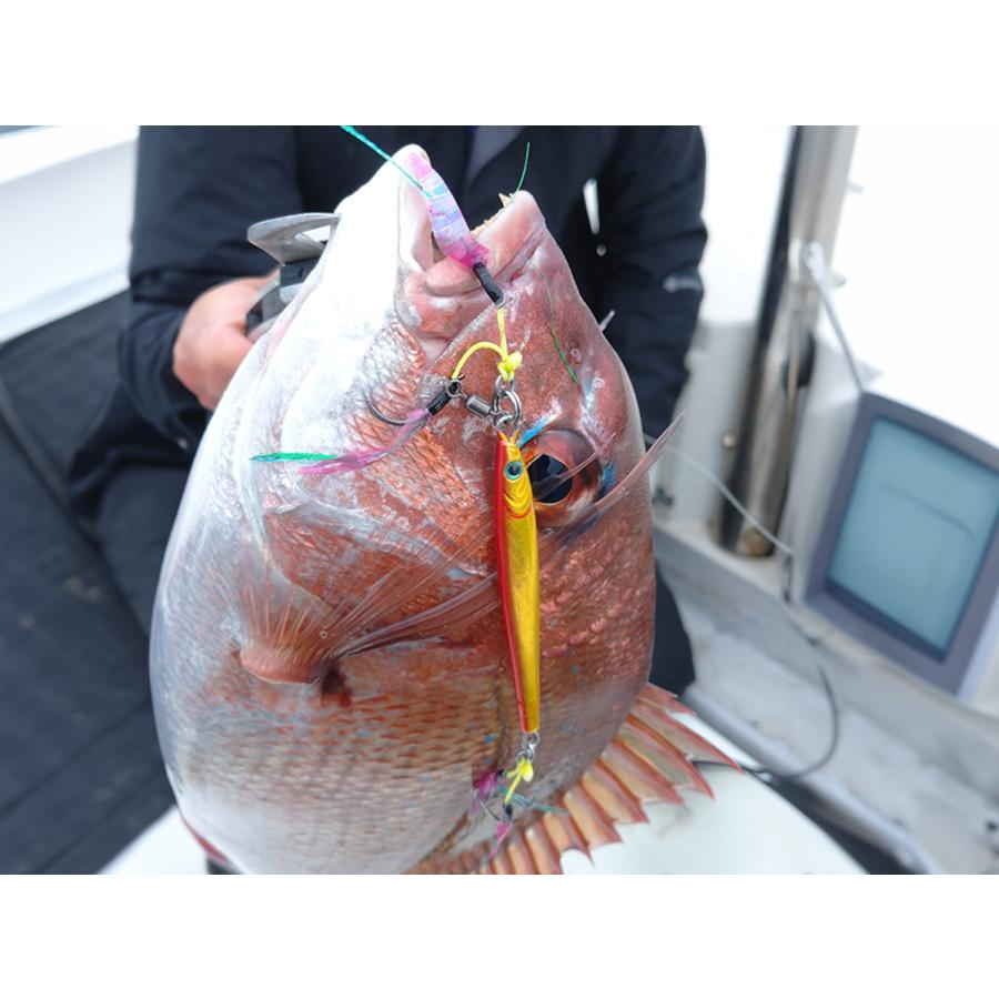 ダイワ SGアシストSS SLJフォールSPフロントリアセットLL TGベイト80g推奨 : KKフィッシング - 通販 - Yahoo!ショッピング