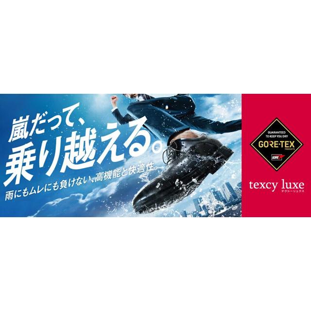 texcy luxe 【送料無料(北海道、沖縄除く)】 テクシーリュクス ビジネスシューズ GORE-TEX メンズ 防水タイプ ブラック ブラウン 靴 4E TU-8005 TU-8006 ...