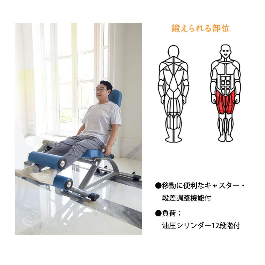 ≪ダイコウ DK-677≫ 新GYMシリーズ レッグカール / エクステンション 油圧式トレーニング機器 【送料無料】 : dk677 : 神戸メディケア KMC卸販売Yahoo!店 - 通販 ...