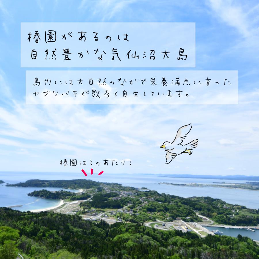 椿油 気仙沼大島産 純つばき油 30ml 国産 ツバキ油 椿オイル ギフト【5本以上購入で送料無料】 :OD0007:KNS Yahoo!ショップ - 通販 - Yahoo!ショッピング