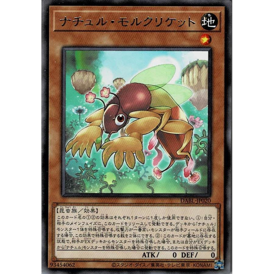 DABL-JP020 ナチュル・モルクリケット レア :DABL-JP020-R:ファミコンショップベアーズ - 通販 - Yahoo!ショッピング