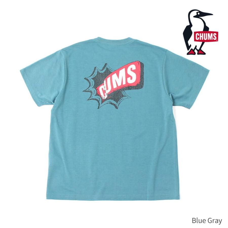 CHUMS チャムス フレームリターダントポップドアウトチャムスTシャツ CH01-2187 : KOBEYA SPORTS WEB SHOP - 通販 - Yahoo!ショッピング