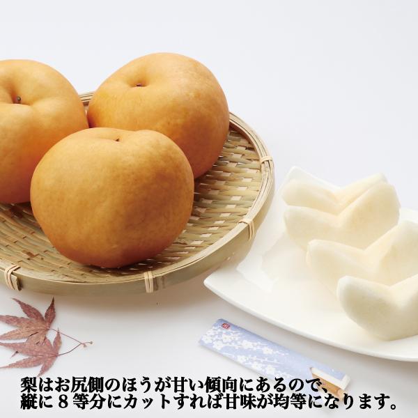 愛宕梨 あたごなし ギフト 7玉入り 約4kg 1玉 約570g-660g PEAR 11月下旬頃発送予定 :atago-pear-005 ...