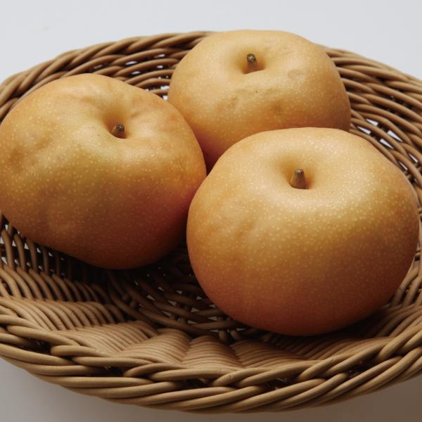 家庭用 訳あり 南水梨 梨 約4kg 約10玉前後 数量限定 農家直送 甘い 美味しい 子供に人気 9月下旬ごろから発送予定 : 河内工房 ...