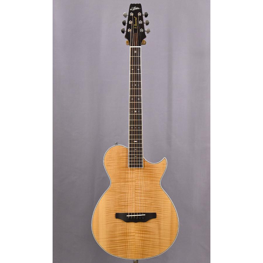 ARIA（楽器） Aria APE-100 N (スペア弦＆クリップチューナー付き) アリア アコースティックギター エレアコ : 光栄堂楽器Yahoo!店 - 通販 - Yahoo!ショッピング