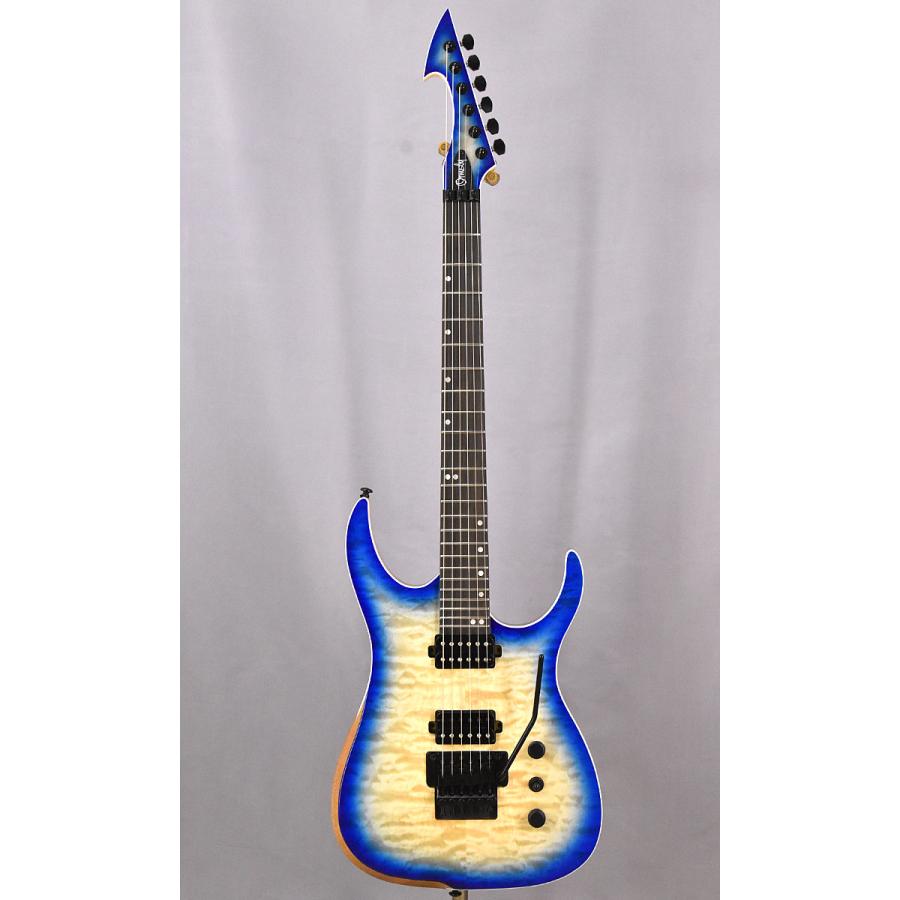 Ormsby Guitars HYPE GTR Floyd Exotic MH BB 6strings オームスビーギター ...