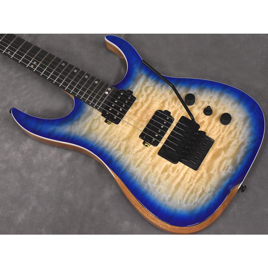 Ormsby Guitars HYPE GTR Floyd Exotic MH BB 6strings オームスビーギター ...