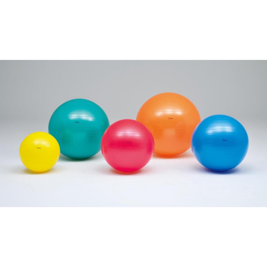 TOEI LIGHT（トーエイライト） ボディーボール55 TOEI LIGHT H7261 : 琥珀商店 Yahoo!ショップ - 通販 - Yahoo!ショッピング