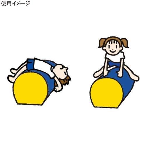 EVERNEW（エバニュー） ラウンドフォームとび箱 送料無料 EKH182