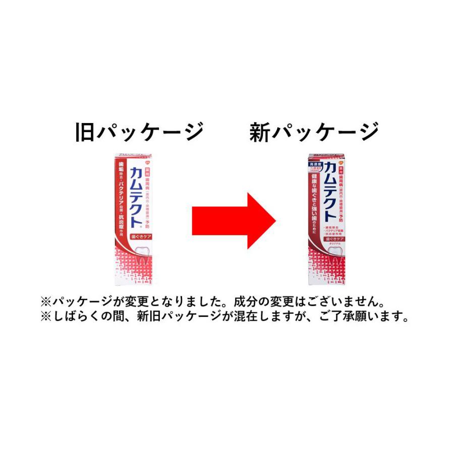 アース製薬 カムテクト 歯ぐきケア 115g : コーナンeショップ Yahoo!ショッピング店 - 通販 - Yahoo!ショッピング