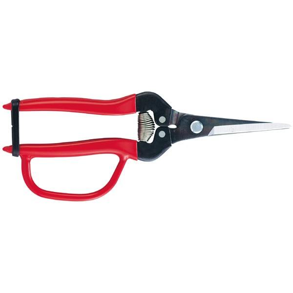 アルス 摘果鋏エクストラロングタイプガード付 （ブリスターパック入り） 300LL−G−BP : コーナンeショップ Yahoo!ショッピング店 - 通販 - Yahoo!ショッピング