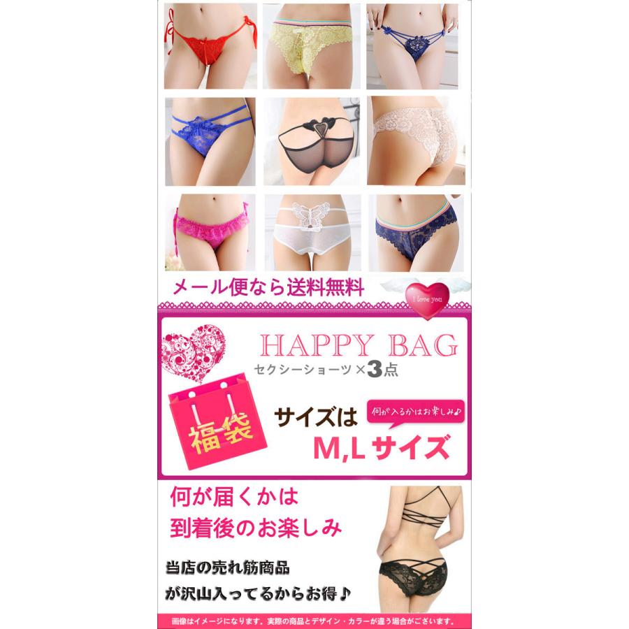 ショーツ福袋 3枚セット 福袋2025 ショーツセット セクシー ショーツ 下着 パンツ 2025年福袋 ショーツレディース 女性下着 レディースショーツ T-0025 : 公羽商店 - 通販 ...