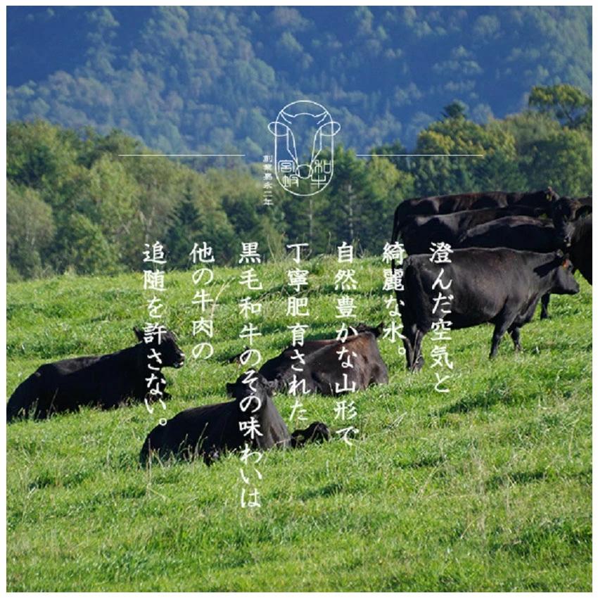 牛丼 冷凍 牛丼の具 140g 10袋 セット 山形県産黒毛和牛 みやさかや : gyudon10 : 鯉料理と和牛惣菜みやさかや - 通販 - Yahoo!ショッピング