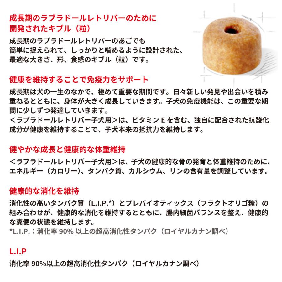 ロイヤルカナン 犬 ドッグフード ラブラドールレトリバー子犬用 12kg×3個 : コジコジ - 通販 - Yahoo!ショッピング