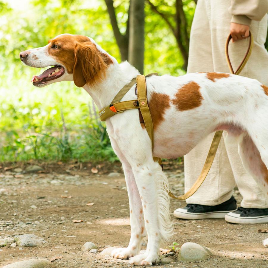 イージードッグ EZY DOG クイックハーネス S コーデュロイ : コジコジ - 通販 - Yahoo!ショッピング