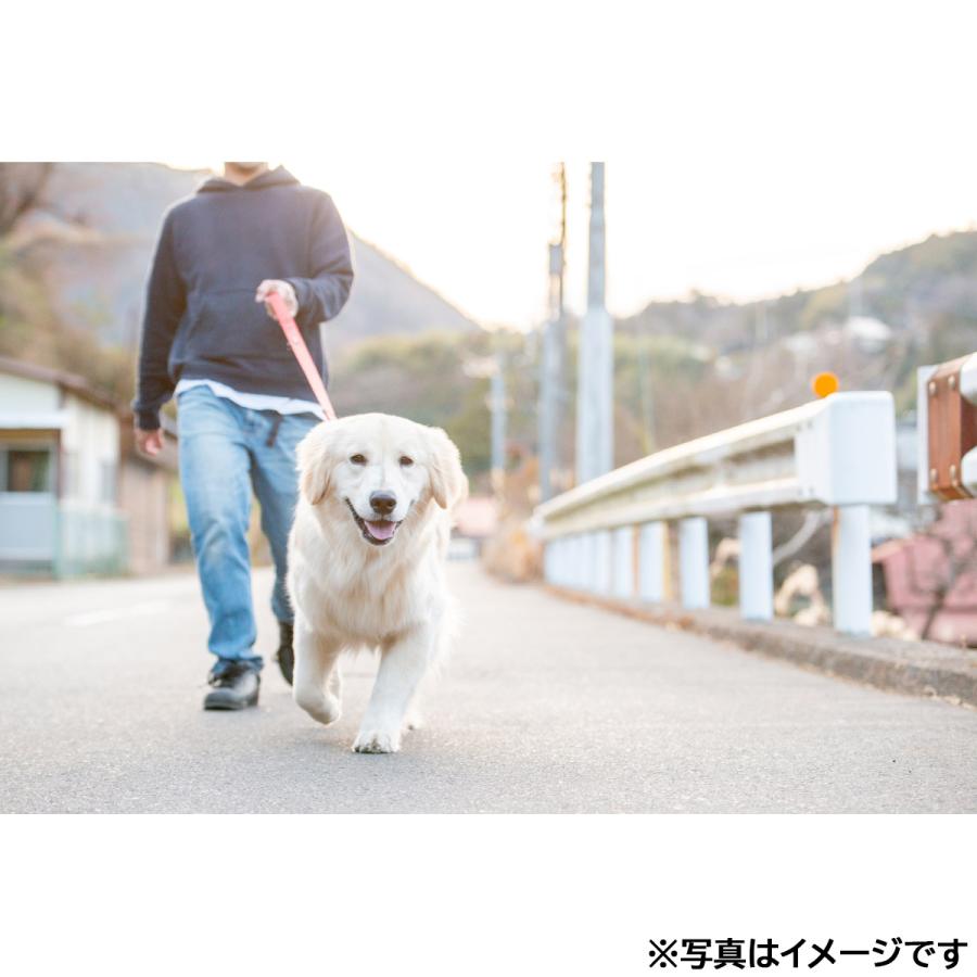 イージードッグ EZYDOG ソフトトレーナー 120cmグリーンカモ トレーニングリード しつけ パピートレーニング : ezdg057170 : コジコジ - 通販 - Yahoo!ショッピング