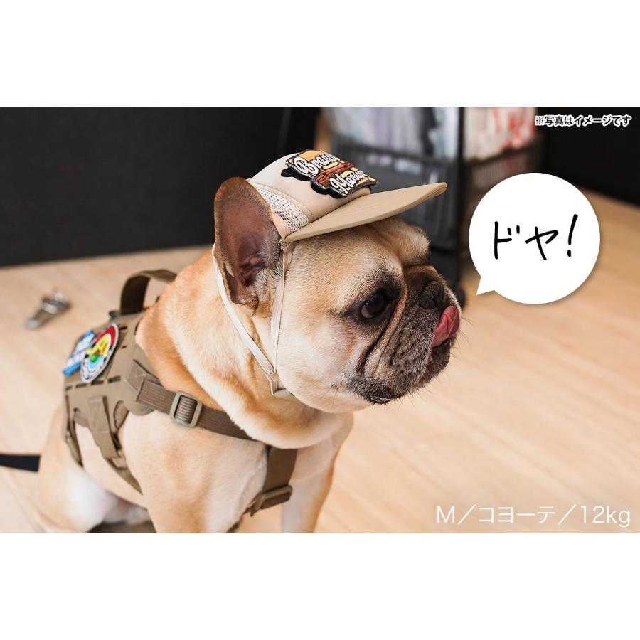 キロナイナー KLONINER カスタムファンキャップ Custom Fun Cap 犬の帽子 XS トリコロール : コジコジ - 通販 ...