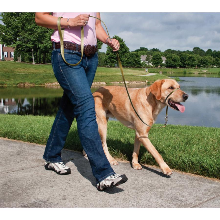 PetSafe ペットセーフ ジェントルリーダー ヘッドカラー クイックリリース L : コジコジ - 通販 - Yahoo!ショッピング