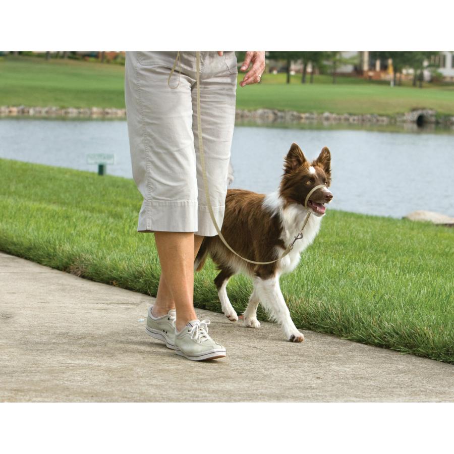 PetSafe ペットセーフ ジェントルリーダー ヘッドカラー クイックリリース M : コジコジ - 通販 - Yahoo!ショッピング
