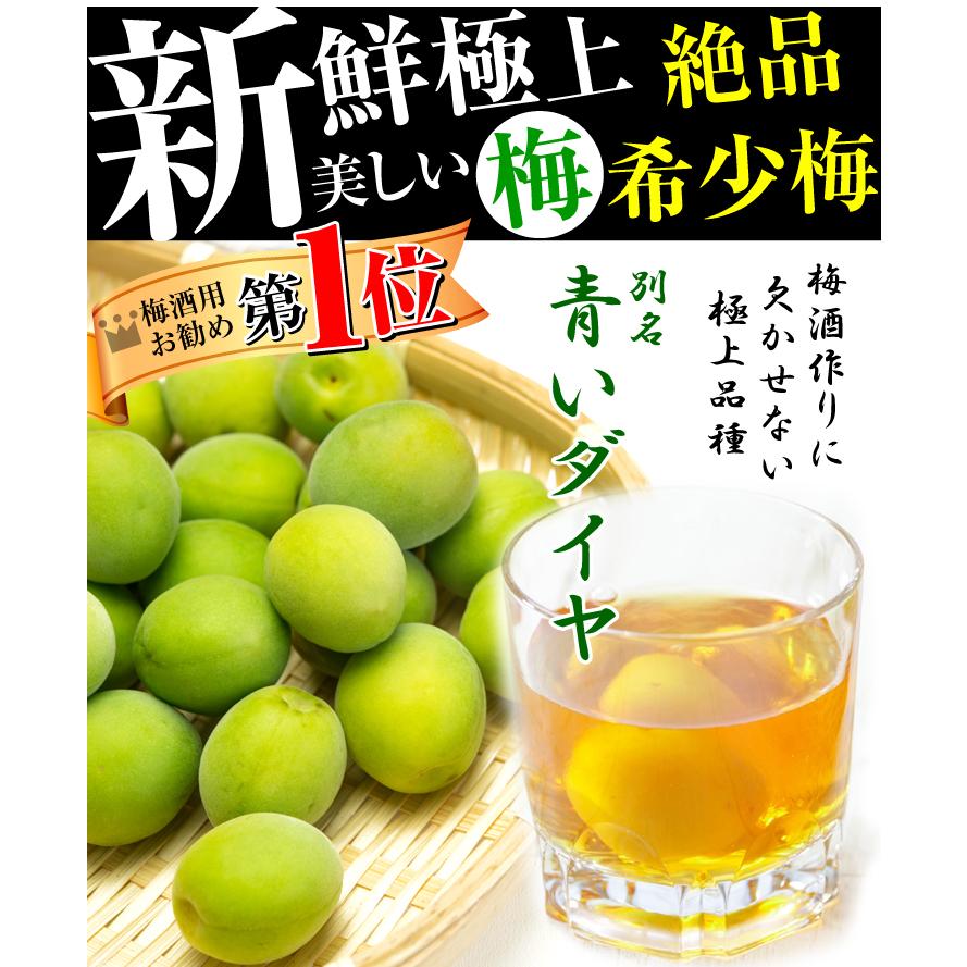 梅 10kg 古城梅 【青梅】 和歌山産 ごじろうめ 送料無料 冷蔵便 食品 : くだもの大陸・国華園 - 通販 - Yahoo!ショッピング