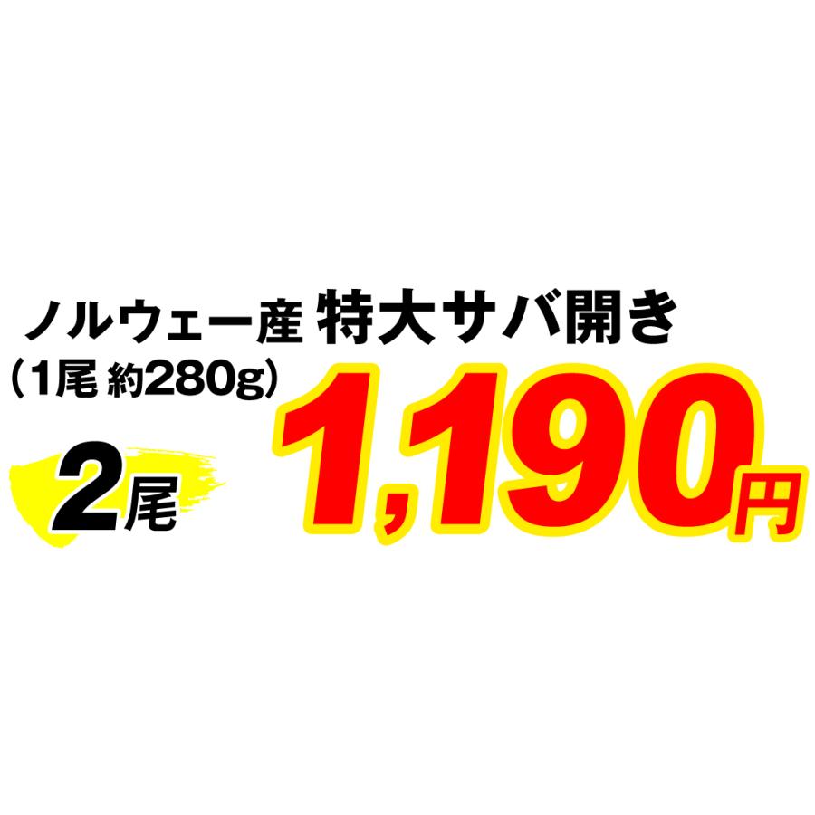 サバ 560g ノルウェー産 特大サバ開き 280g×2尾 さば 特大 さば開き 干物 食品 冷凍便 : くだもの大陸・国華園 - 通販 - Yahoo!ショッピング