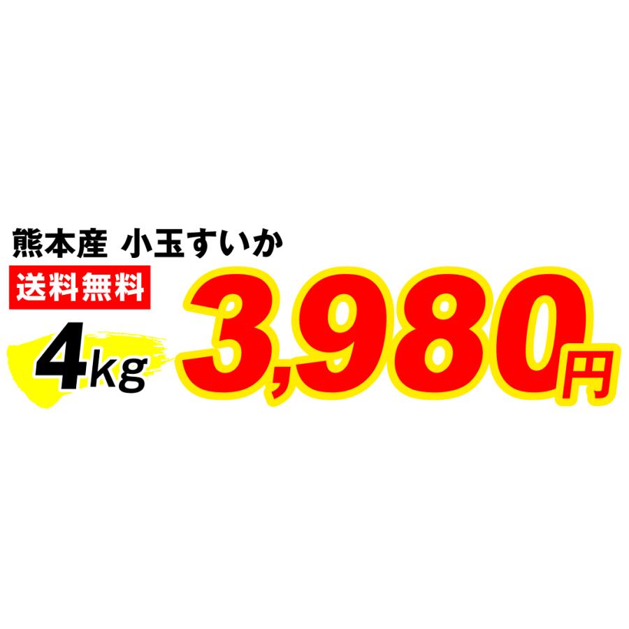 小玉すいか 約4kg（3〜5玉）熊本産 送料無料 食品 : くだもの大陸・国華園 - 通販 - Yahoo!ショッピング