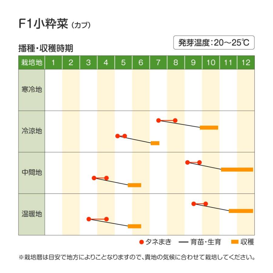 種 野菜たね カブ F1小粋菜 1袋（3ml） こいきな 蕪 野菜の種 国華園 : 花と緑 国華園 - 通販 - Yahoo!ショッピング