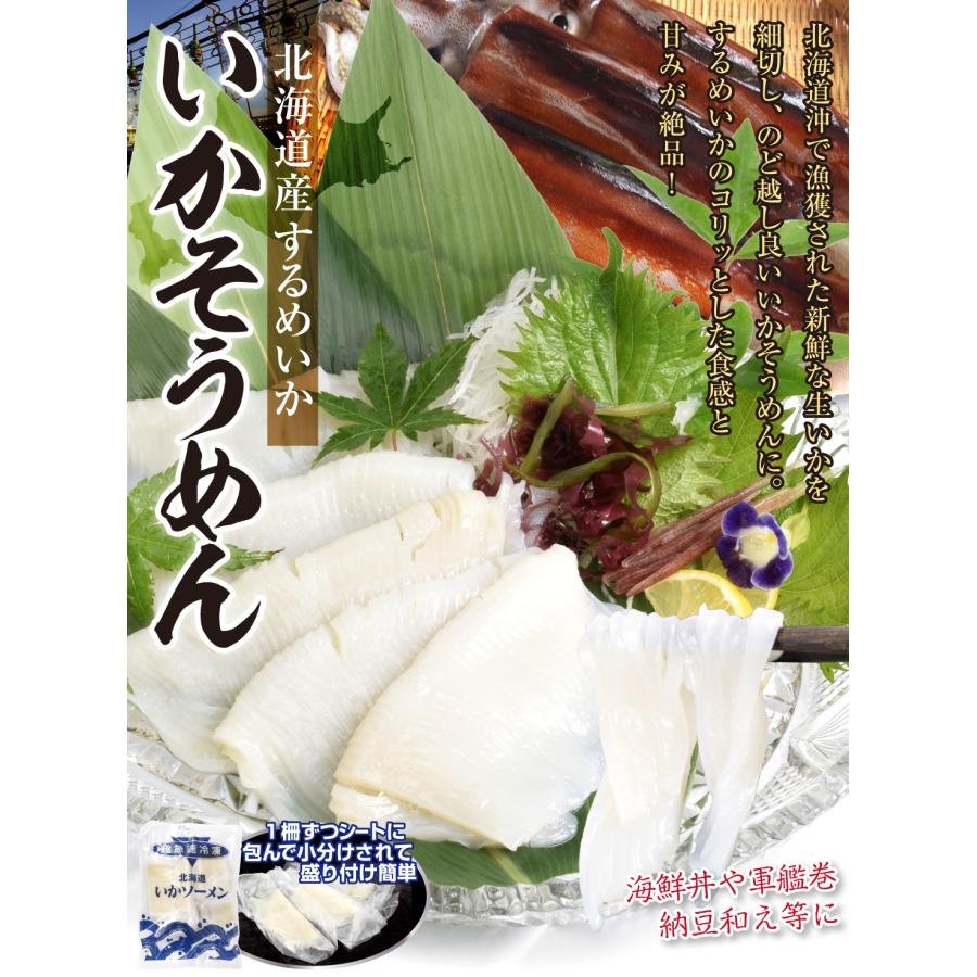 いか 北海道産 いかそうめん 10柵 スルメイカ 400〜590g お刺身 細切 業務用 カット済 個包装 海鮮丼 食品 送料無料 冷凍便 : 花と緑 国華園 - 通販 - Yahoo!ショッピング