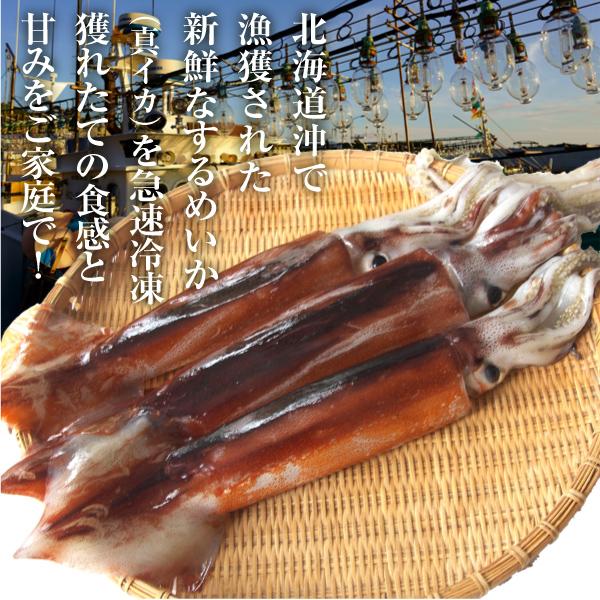 いか 北海道産 いかそうめん 10柵 スルメイカ 400〜590g お刺身 細切 業務用 カット済 個包装 海鮮丼 食品 送料無料 冷凍便 : 花と緑 国華園 - 通販 - Yahoo!ショッピング