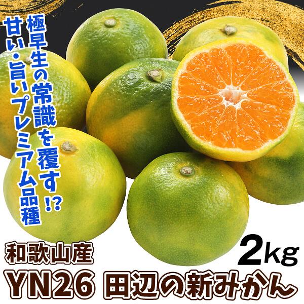 みかん 2kg YN26 プレミアム 柑橘 和歌山産 田辺の新みかん 紀南 極早生 送料無料 食品 : 花と緑 国華園 - 通販 - Yahoo!ショッピング