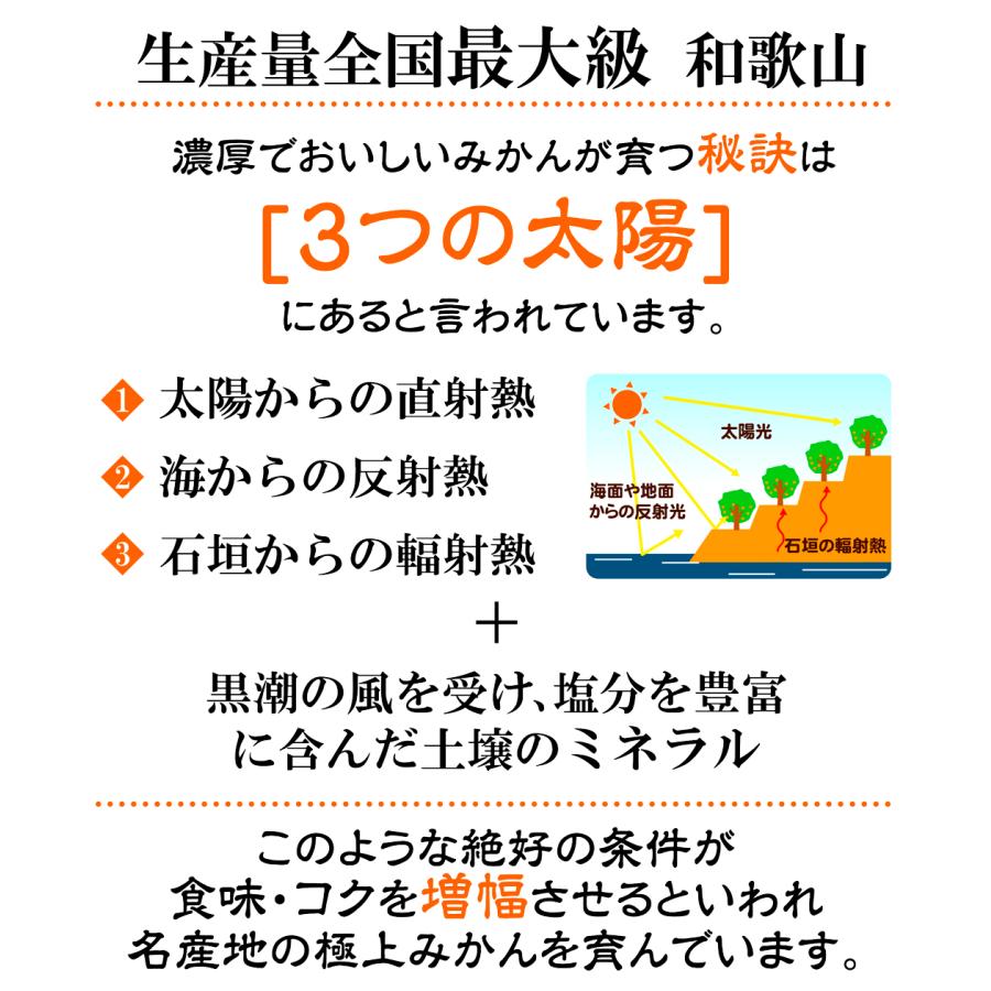みかん 2kg YN26 プレミアム 柑橘 和歌山産 田辺の新みかん 紀南 極早生 送料無料 食品 : 花と緑 国華園 - 通販 - Yahoo!ショッピング