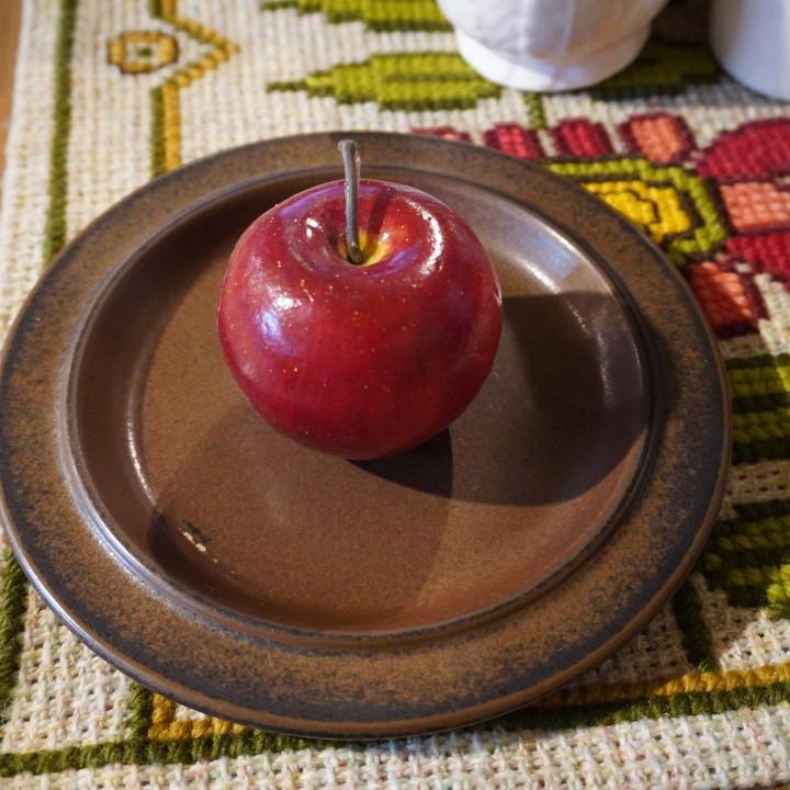 ARABIA アラビア Ruska ルスカ ディナープレート 20cm Ulla Procope ウラ・プロコッペ 北欧食器 ヴィンテージ フィンランド BK359 : bk359 ...