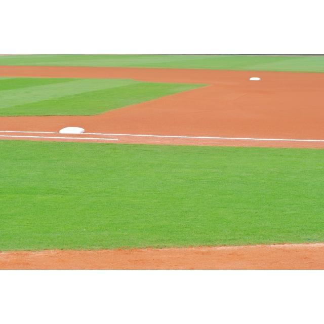 野球ベース 一般用埋込ベース用金具 コクサイ KOKUSAI マッハベース用下金具 3個 RB2160 1組 送料無料 : コクサイ ...
