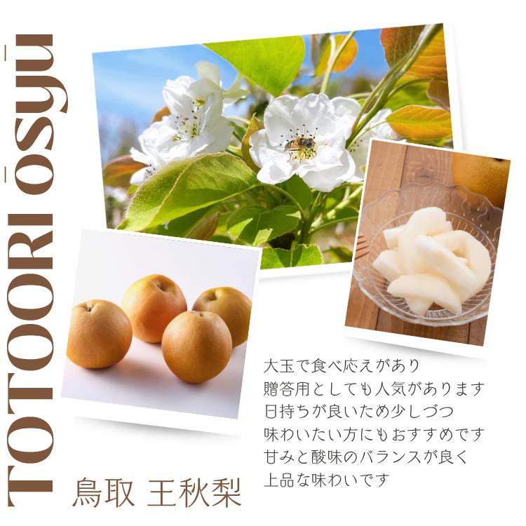 梨 王秋梨 5kg(7-10玉) 優品 ご自宅用 王秋 和梨 赤梨 おう2箱ご購入で1箱増量中 合計15kg : 小松屋imaru - 通販 - Yahoo!ショッピング