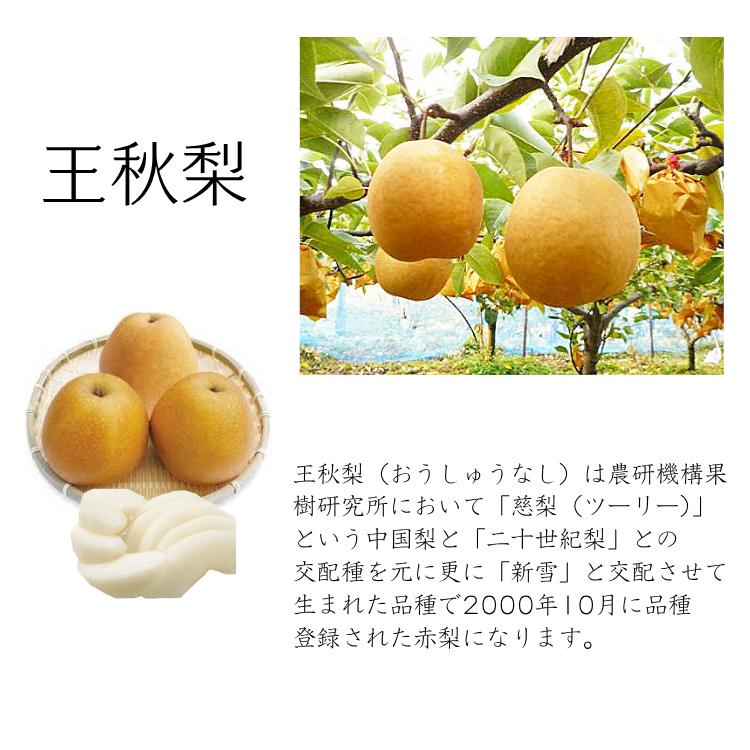 梨 王秋梨 5kg(7-10玉) 優品 ご自宅用 王秋 和梨 赤梨 おう2箱ご購入で1箱増量中 合計15kg : 小松屋imaru - 通販 - Yahoo!ショッピング