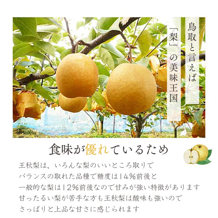 梨 王秋梨 5kg(7-10玉) 優品 ご自宅用 王秋 和梨 赤梨 おう2箱ご購入で1箱増量中 合計15kg : 小松屋imaru - 通販 - Yahoo!ショッピング