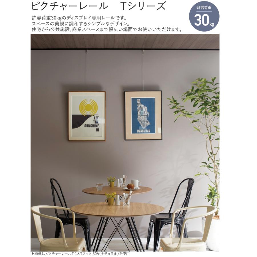 TOSO ピクチャーレール toso T-1（T1） 2m 天井付けセット フック2個付き ホワイト ブラック トーソー : カーテン ブラインドのコンポ - 通販 - Yahoo!ショッピング