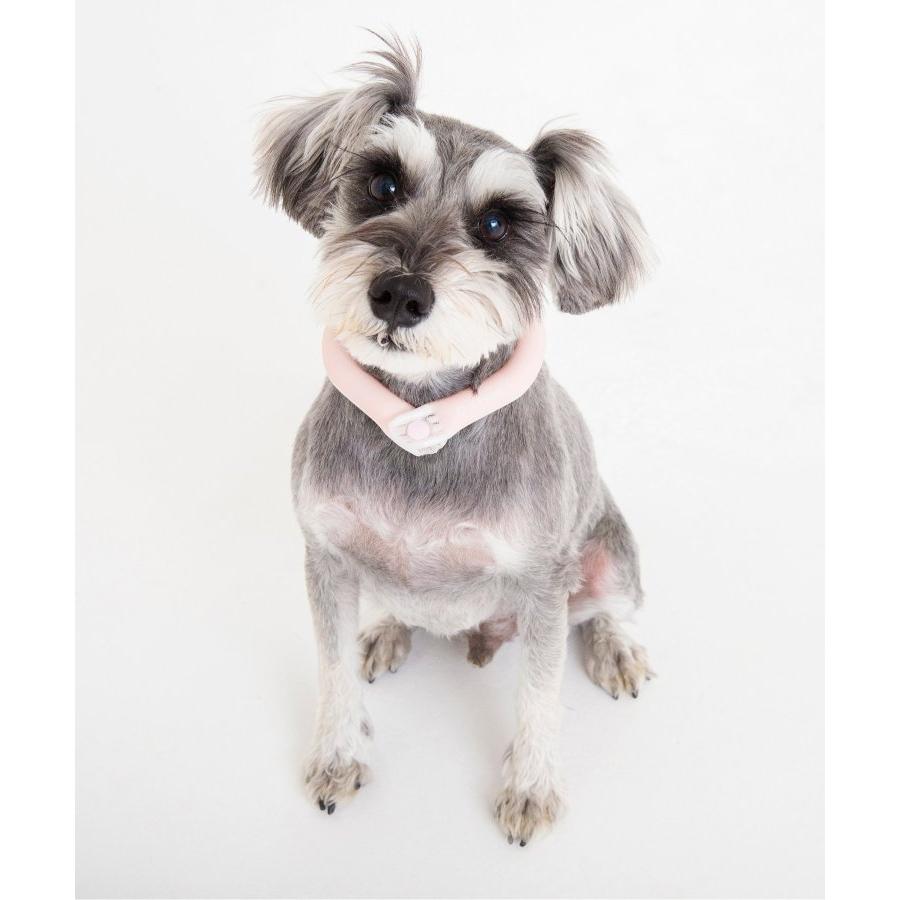 ICE RING 【SALE】【20%OFF】ICE RING／ペット ボタン付き(S) : 子供服と雑貨のお店KOOKA - 通販 - Yahoo!ショッピング