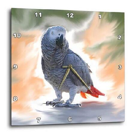 3drose アフリカグレー パロット 壁掛け時計 10 x 10インチ : b002i8hvls : ショップグリーンストア - 通販 ...