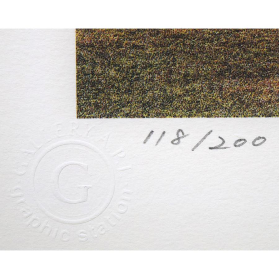 カール ホフナーCarl Hoffner「バリー ストリーム」ジクレー版画・8号・限定品・直筆サイン入【小竹美術】真作保証 : 小竹美術ヤフー ...