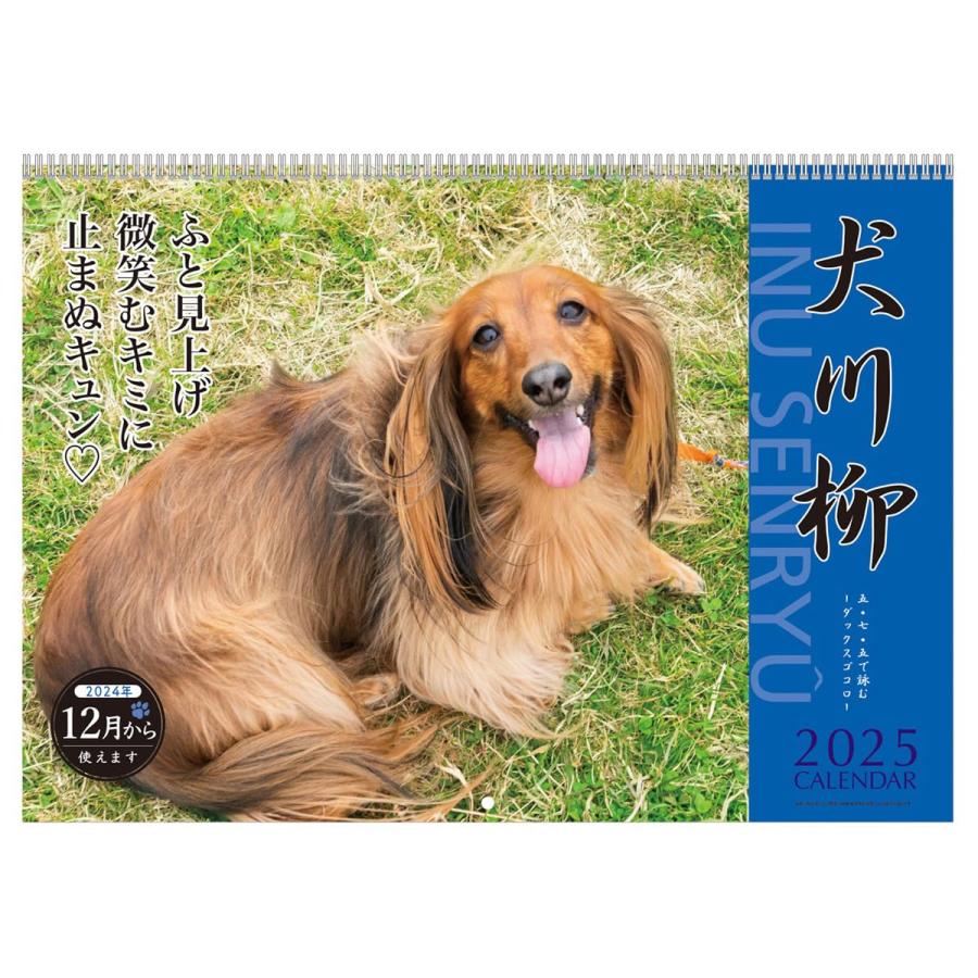 2025年 ダックス川柳 カレンダー No.020 : コタロウSHOP - 通販 - Yahoo!ショッピング