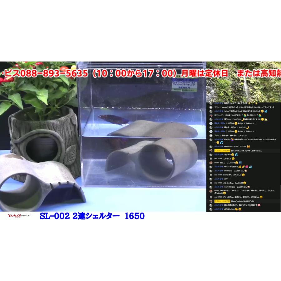 SL-002 2連シェルター1個 : 有限会社高知熱帯魚サービス - 通販 - Yahoo!ショッピング