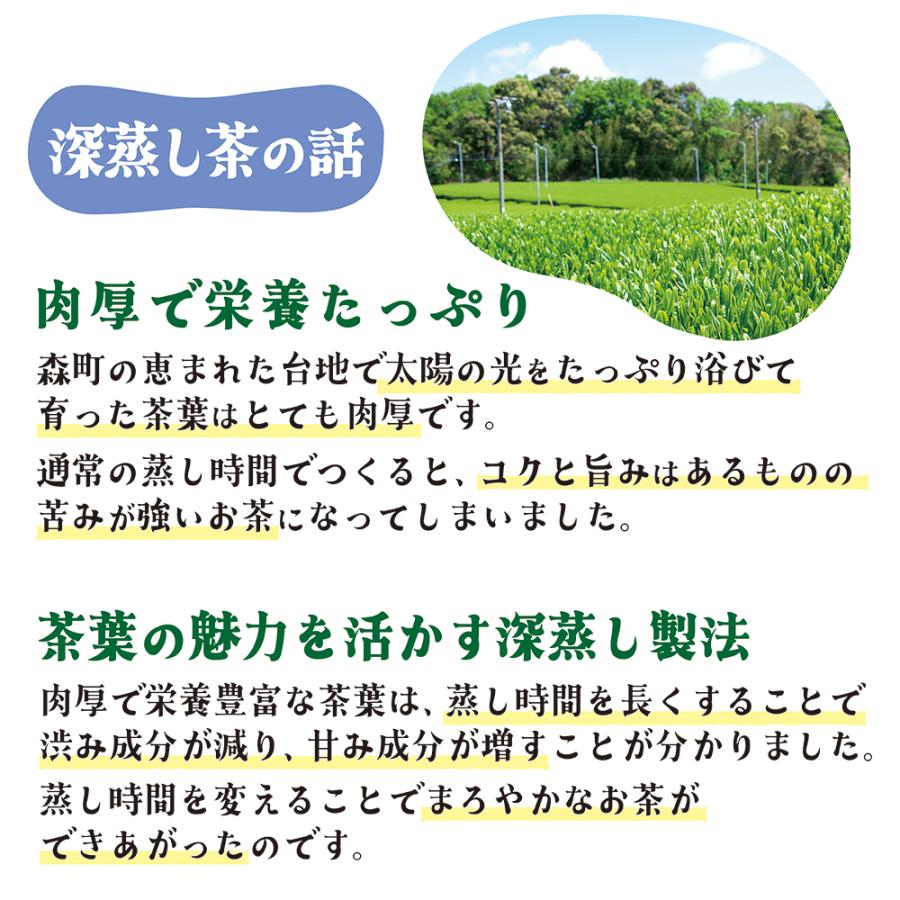 緑茶 日本茶 静岡茶 ティーバッグ 茶師のまかない 深蒸し掛川 濃い深蒸し茶 5g×50包 : 小國ことまち横丁Yahoo!店 - 通販 - Yahoo!ショッピング