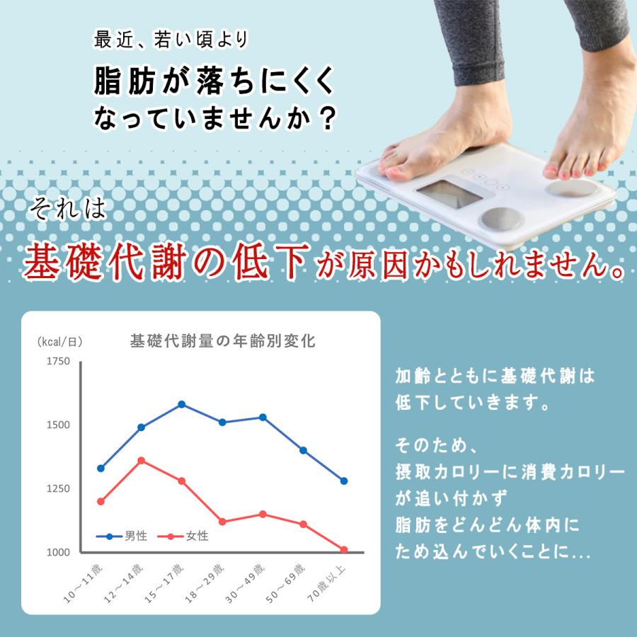 低糖質パン マンスリーセット 30個入り 機能性表示食品 : KOUBO - 通販 - Yahoo!ショッピング